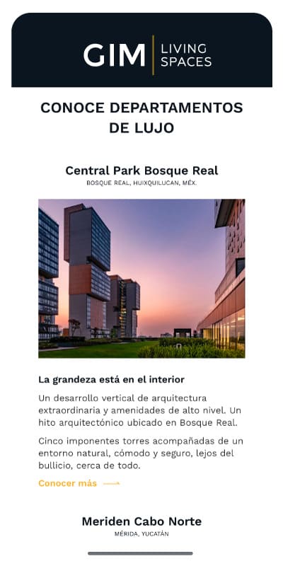 Diseño de páginas web profesionales para empresas